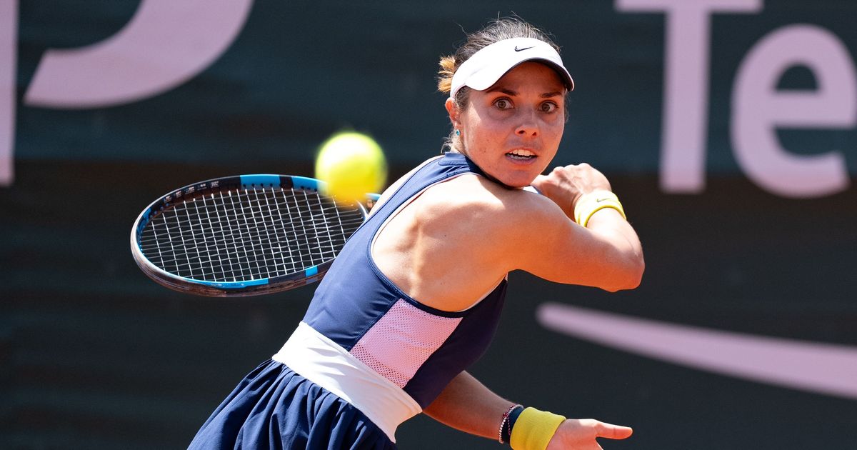Tomova beats Wang Yafan in Rabat, reaches second quarterfinal of 2024