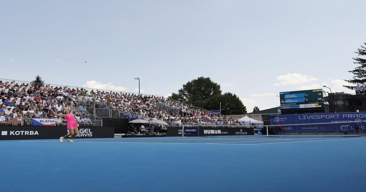 Livesport Prague Open 2025 2025 Scores | Latest Scores & Live Updates ...